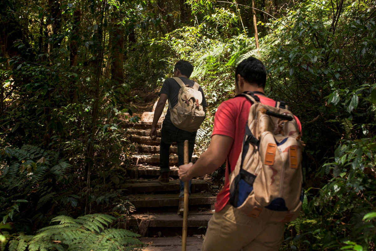Hiking and Trekking in Nuquí: The Best Trails in the Jungle and Along ...